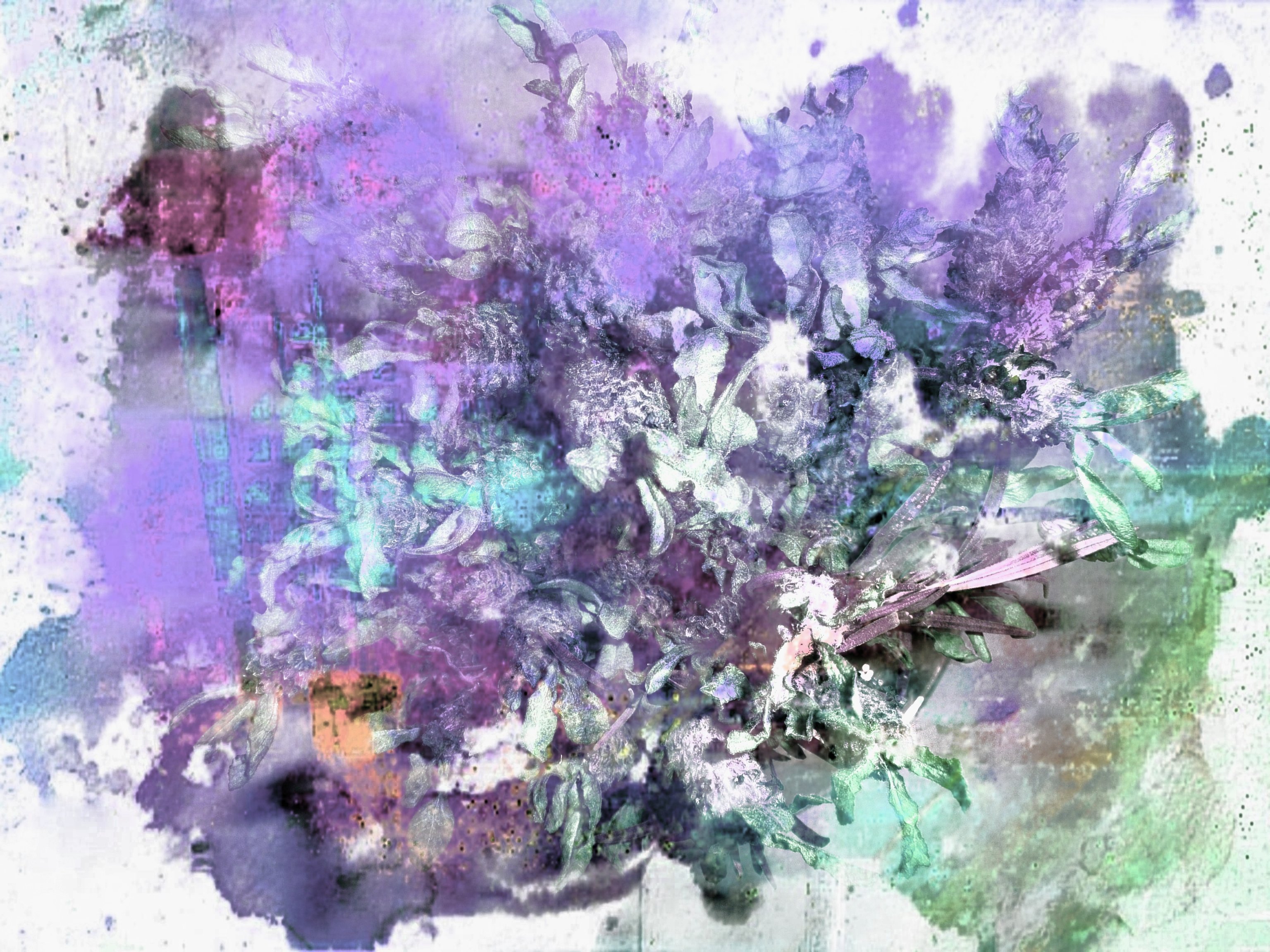 Lavendergraphy – Jennifer Ramirez Baulch